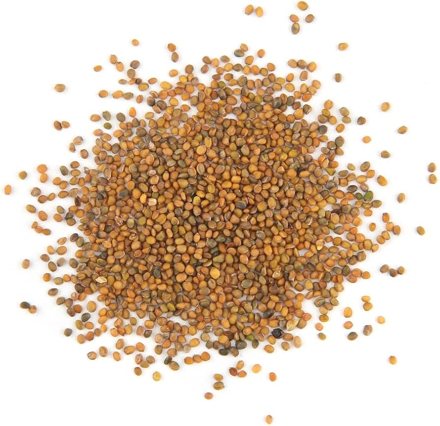 Conseguí Semilla de Rúcula CoTePo UTT ~ 1gr y mucho más en Tierra Firme